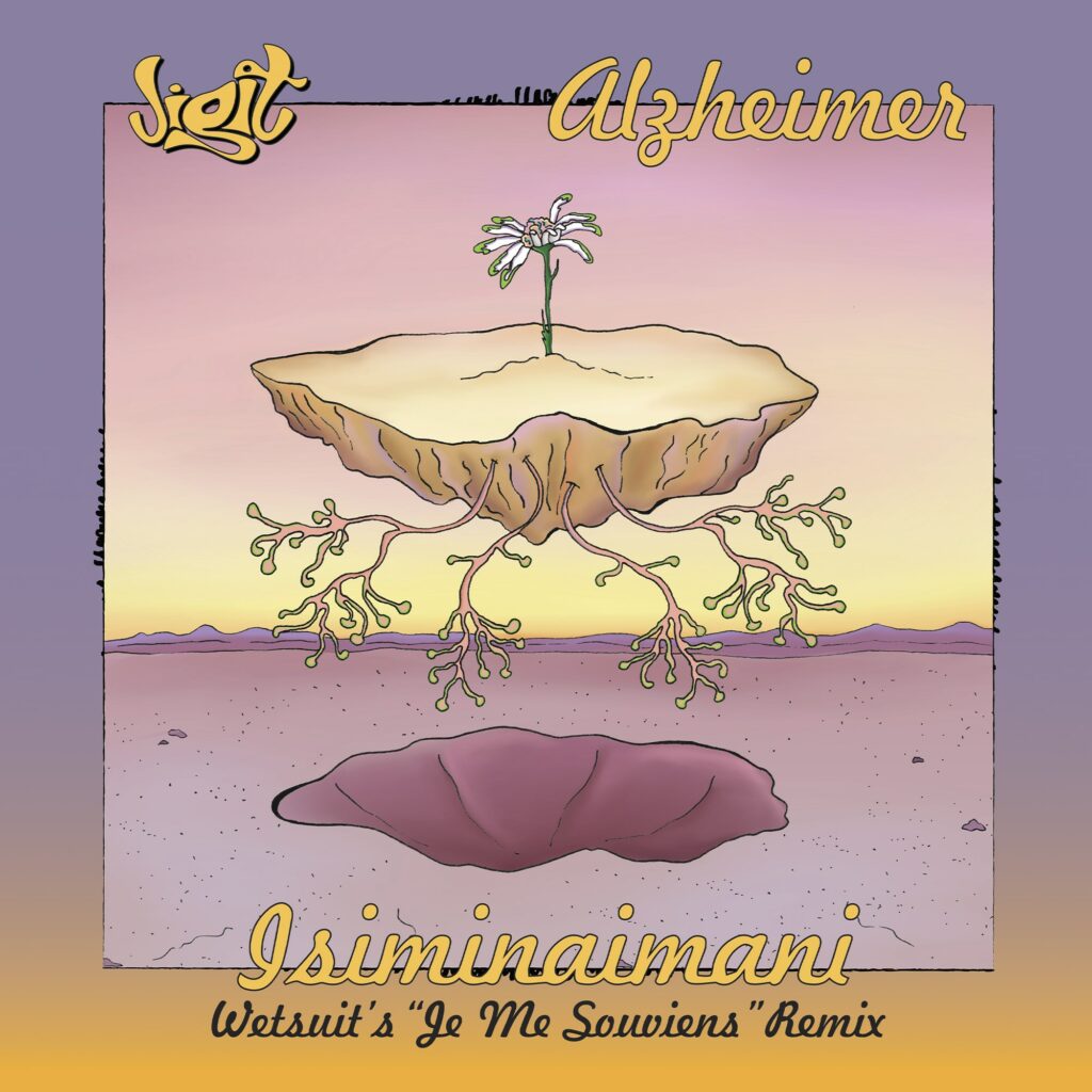 JIGIT003RMX2 - Alzheimer - Isiminaimani remixes