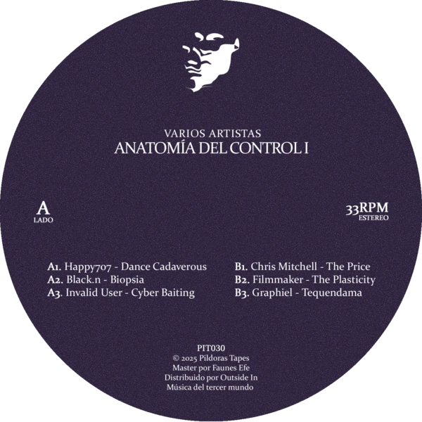 PIT030 - Various Artists - Anatomía del Control I